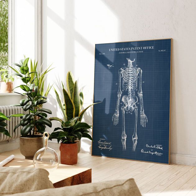 Anatomical Skeleton Patent Wall Art - Blueprint – Pediment Publishing