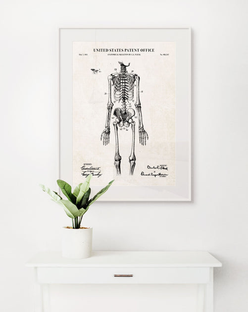 Anatomical Skeleton Patent Wall Art (3 Design Options) – Pediment ...