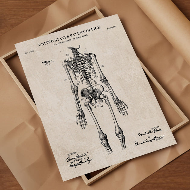 Anatomical Skeleton Patent Wall Art (3 Design Options) – Pediment ...
