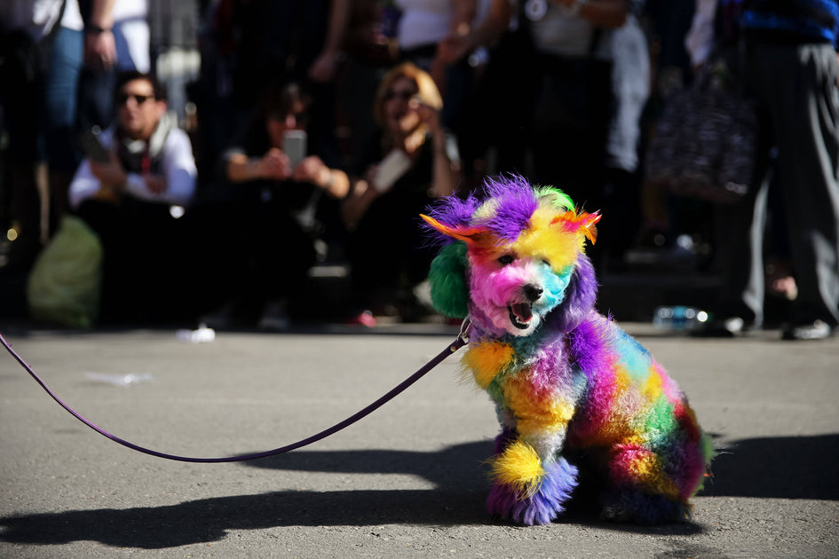 Arthur Hardy looks back at 50 years of Mardi Gras in New Orleans ...