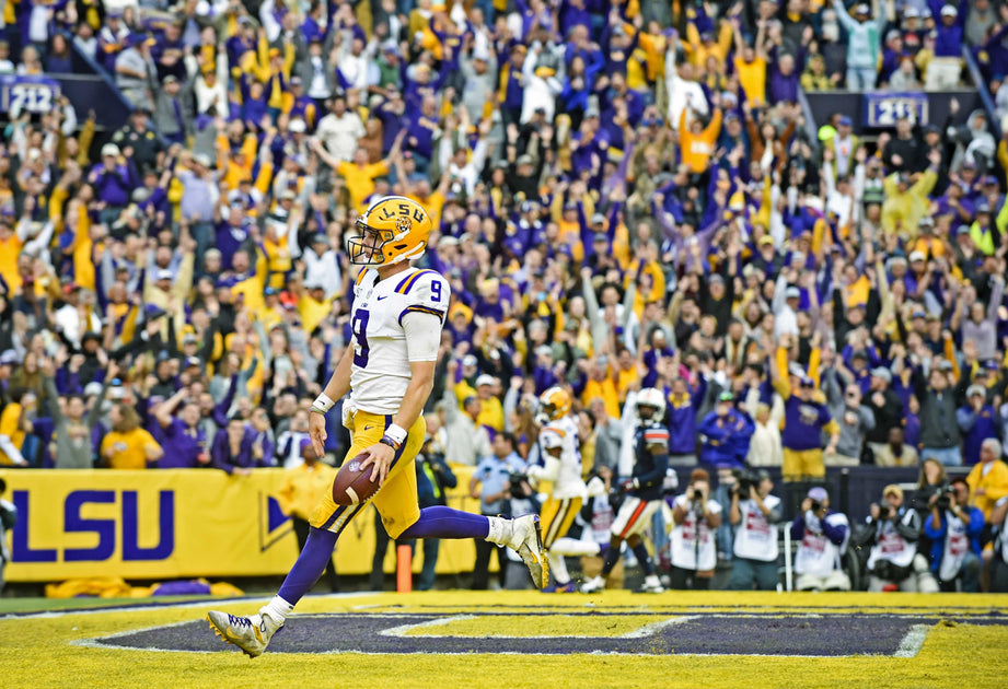 100 Years in Death Valley - LSU Tiger Stadium Pictorial History Book ...