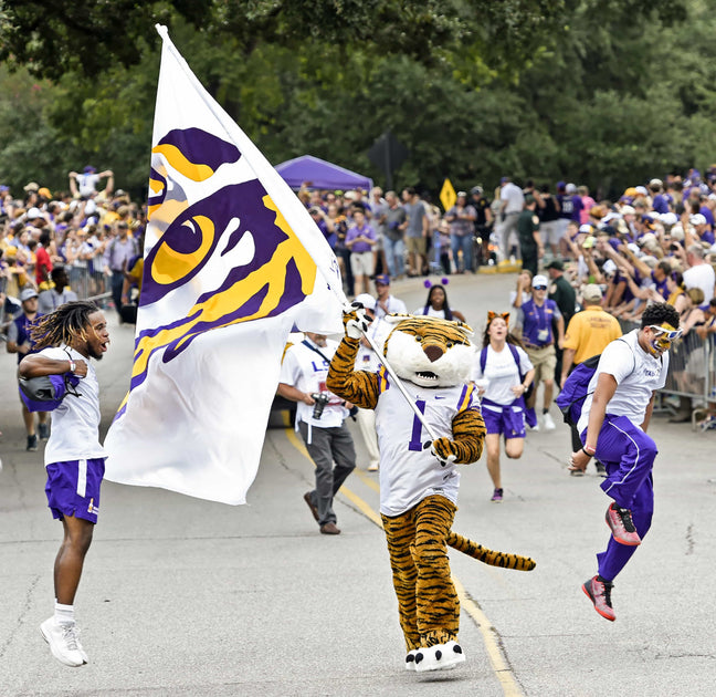 100 Years in Death Valley - LSU Tiger Stadium Pictorial History Book ...