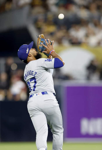 Blue Bloods Dodgers Book: Superstars Align for 2024 Championship Run ...