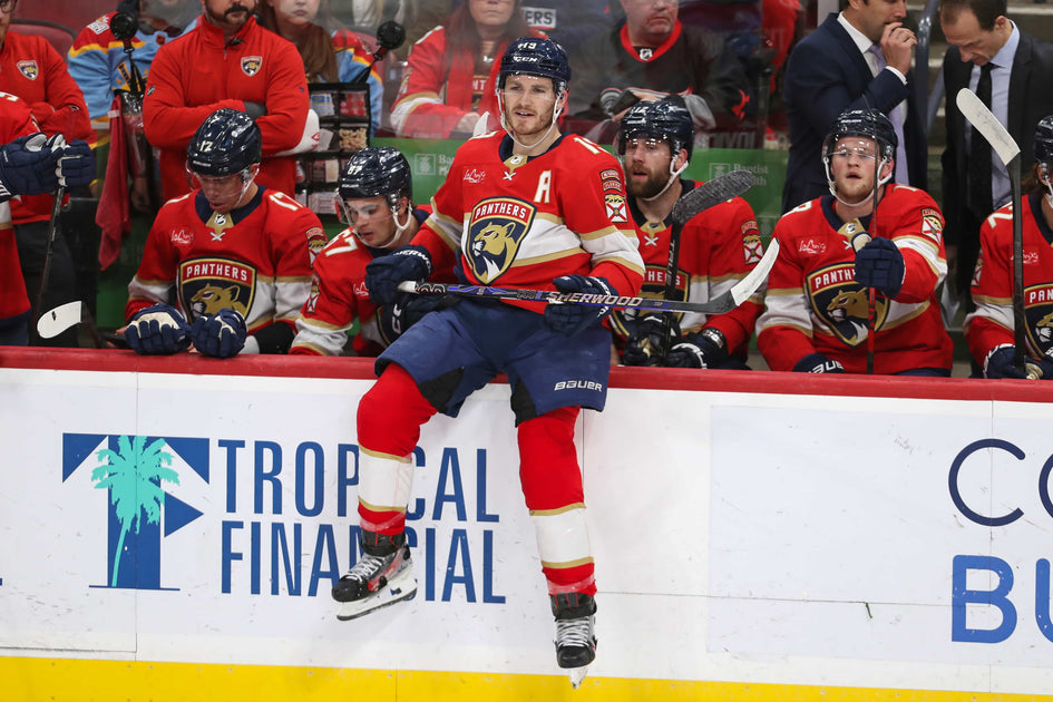 Florida Panthers Win Their First Stanley Cup — Hardcover Book ...