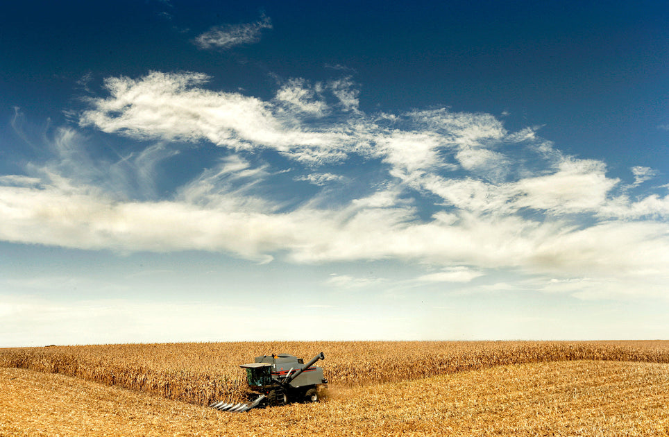 Into the Fields: A Celebration of Farm Life | Hardcover Book – Pediment ...