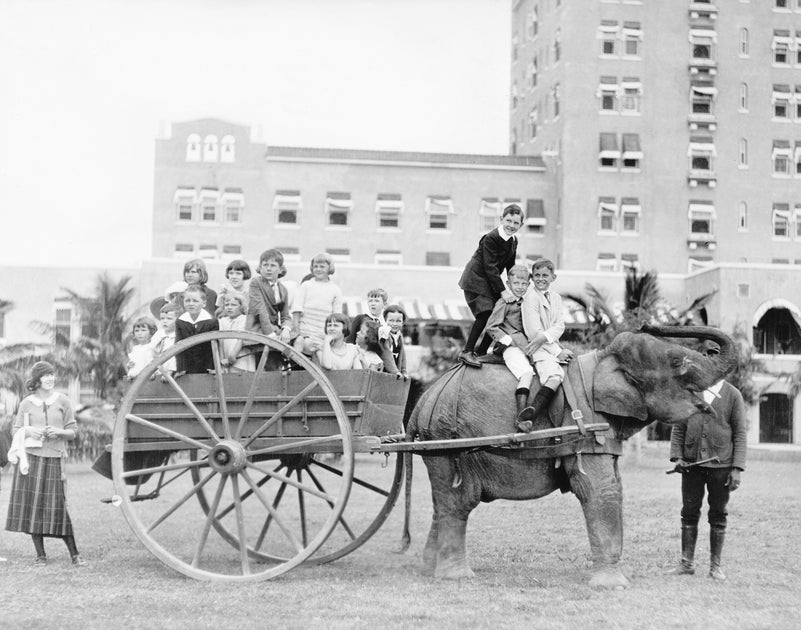 Miami Memories: A Pictorial History of the mid-1800s through the 1930s ...