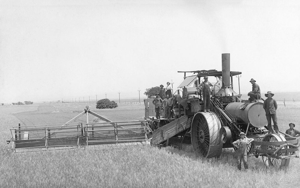 Chico Memories: The Early Years Pictorial History Book – Pediment ...