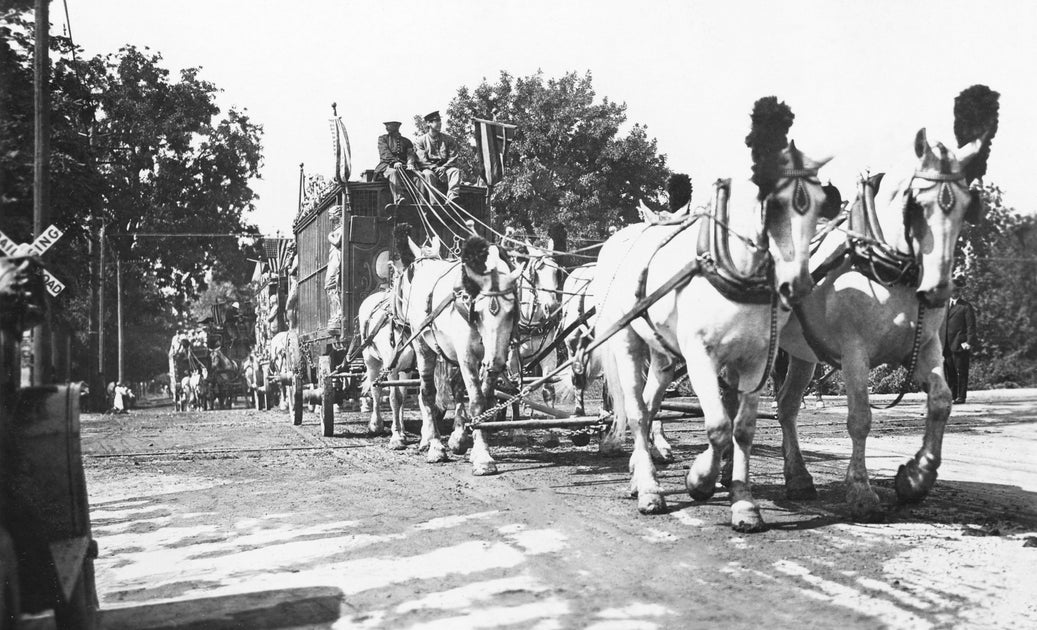 Chico Memories: The Early Years Pictorial History Book – Pediment ...
