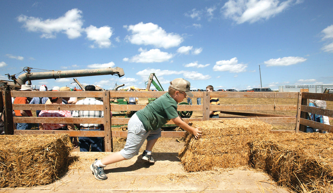 Into the Fields: A Celebration of Farm Life | Hardcover Book – Pediment ...