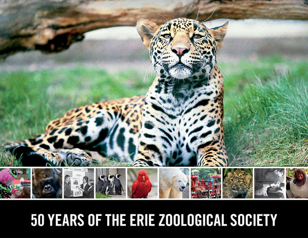50 Years of the Erie Zoological Society Pictorial Book – Pediment ...