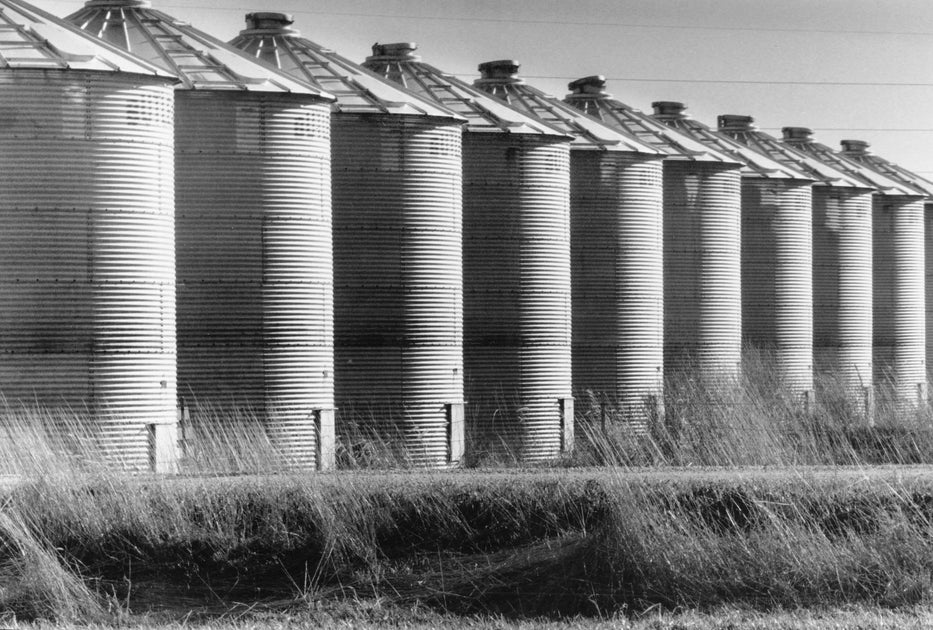 Into the Fields: A Celebration of Farm Life | Hardcover Book – Pediment ...