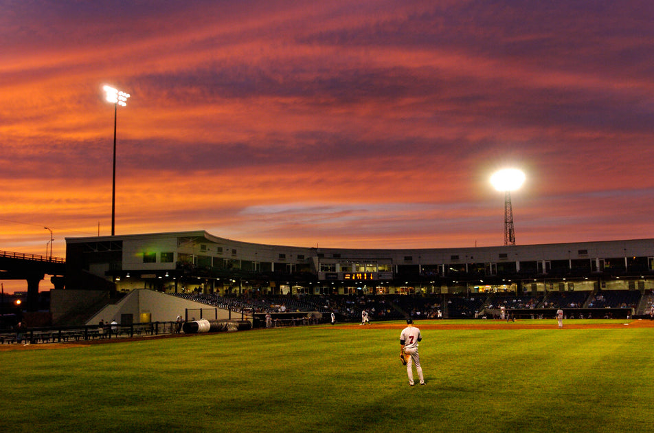 Flight of the Loons | Midlands MI Baseball Sports Book – Pediment ...