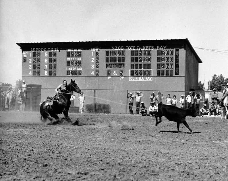 Great Falls at Play - Pictorial History Book – Pediment Publishing