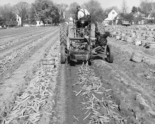 Greater Hartford Memories: A Photographic History of the 1800s through ...