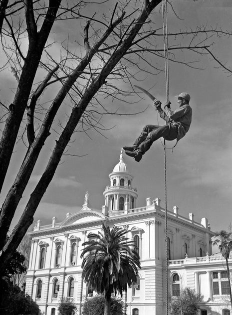Merced County Memories: Vol. II Pictorial History Book – Pediment ...