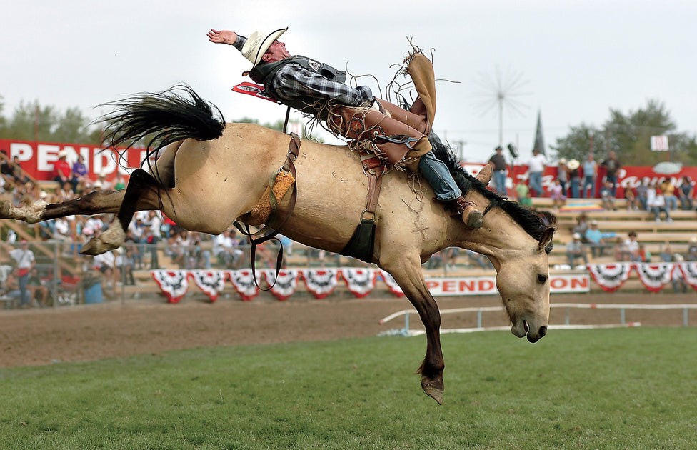 A Rodeo to Remember | Pictorial Book – Pediment Publishing