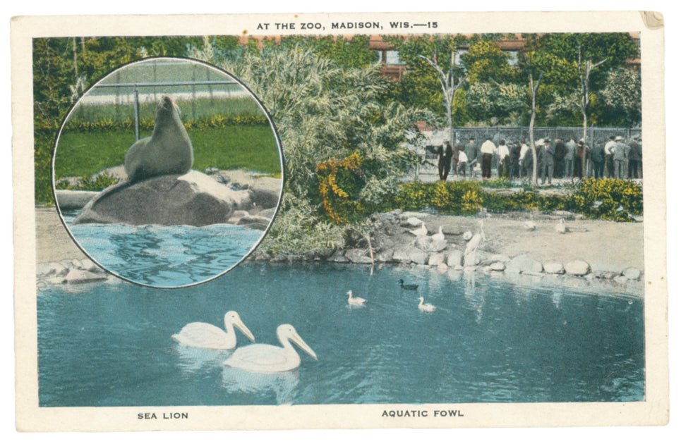 Moments in Time | A Pictorial History Postcard Book – Pediment Publishing