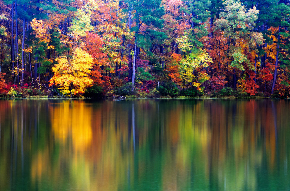 Arkansas in Seasons: A Photographic Journey Through Arkansas – Pediment ...