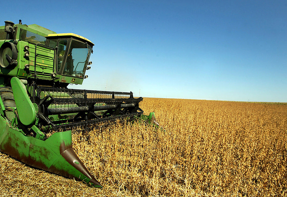 Into the Fields: A Celebration of Farm Life | Hardcover Book – Pediment ...