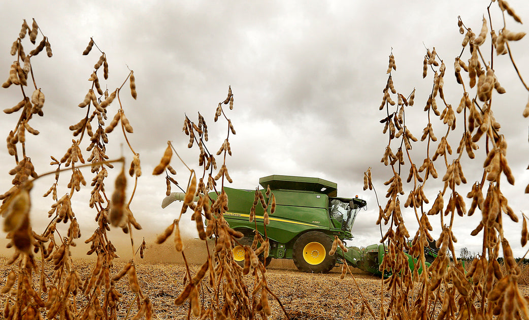 Into the Fields: A Celebration of Farm Life | Hardcover Book – Pediment ...