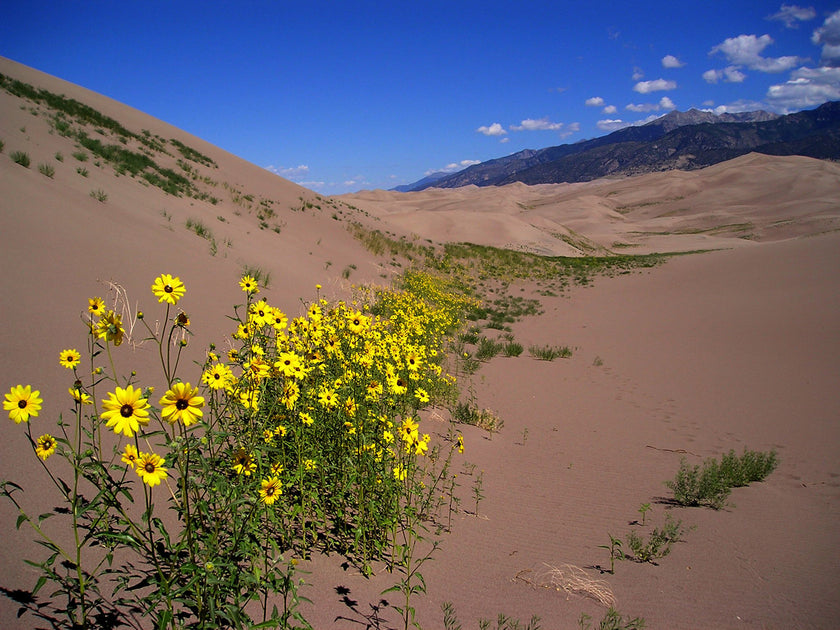 Capture My Colorado: Vail Photography Book – Pediment Publishing